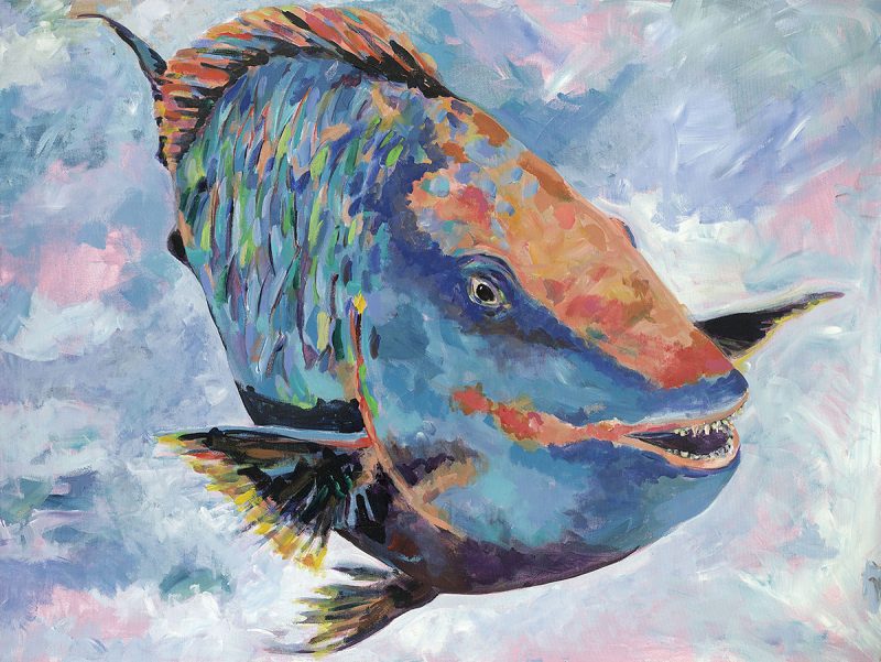 Fish Artwork – KIM RODY Ocean Art