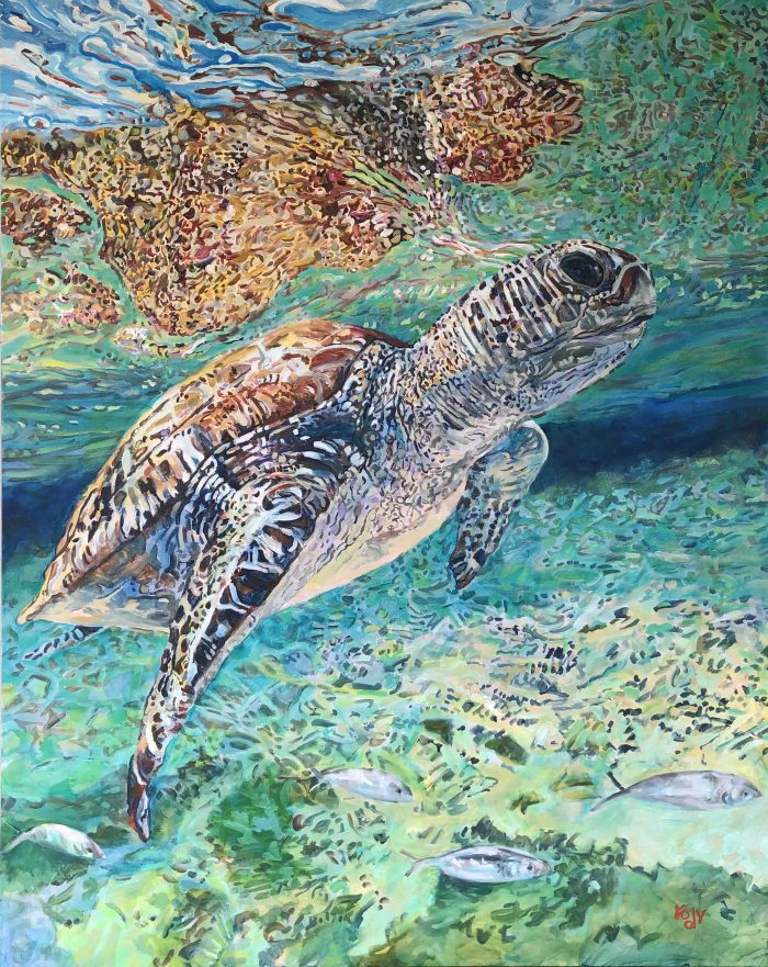 Sea Turtle Artwork - KIM RODY Ocean Art